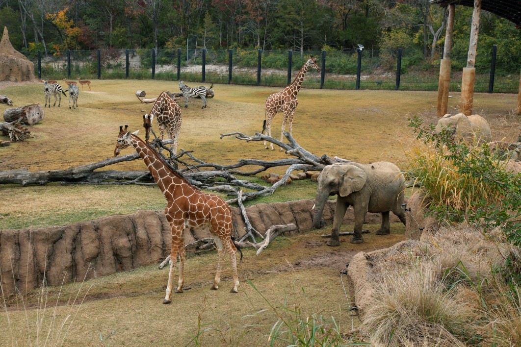 Attractions in Dallas | Tour Texas