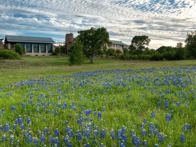 Lady Bird Johnson Wildflower Center in Austin | Tour Texas