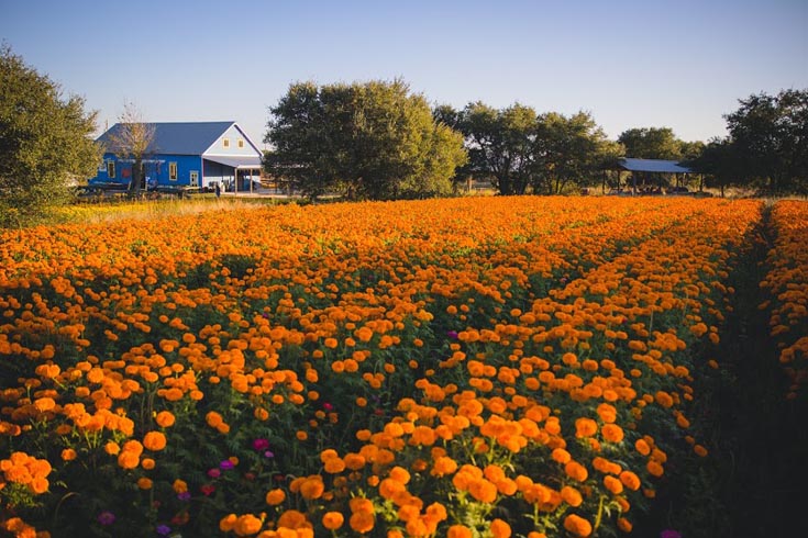 5 Scenic Nature Spots Only Seen in Blanco, Texas | Tour Texas
