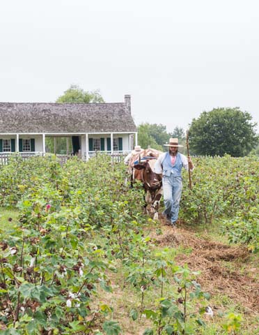 Attractions in Brenham | Tour Texas