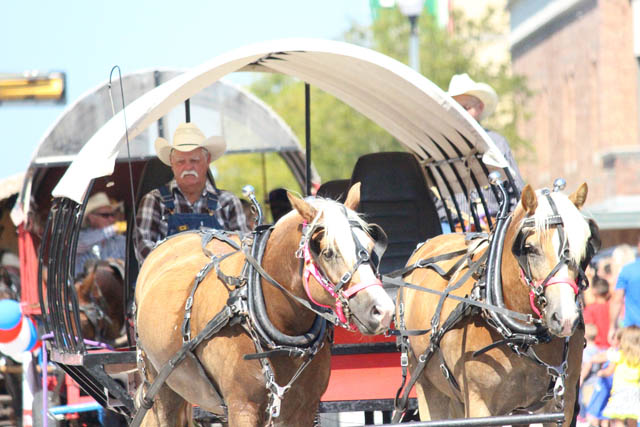 North Texas Fair & Rodeo - AUGUST | Tour Texas