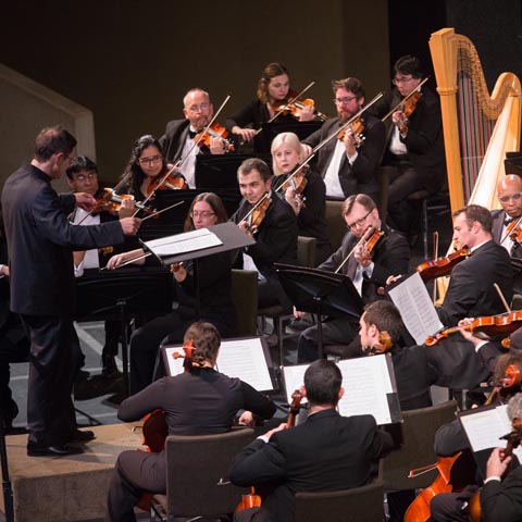 Brazos Valley Symphony Orchestra | Tour Texas