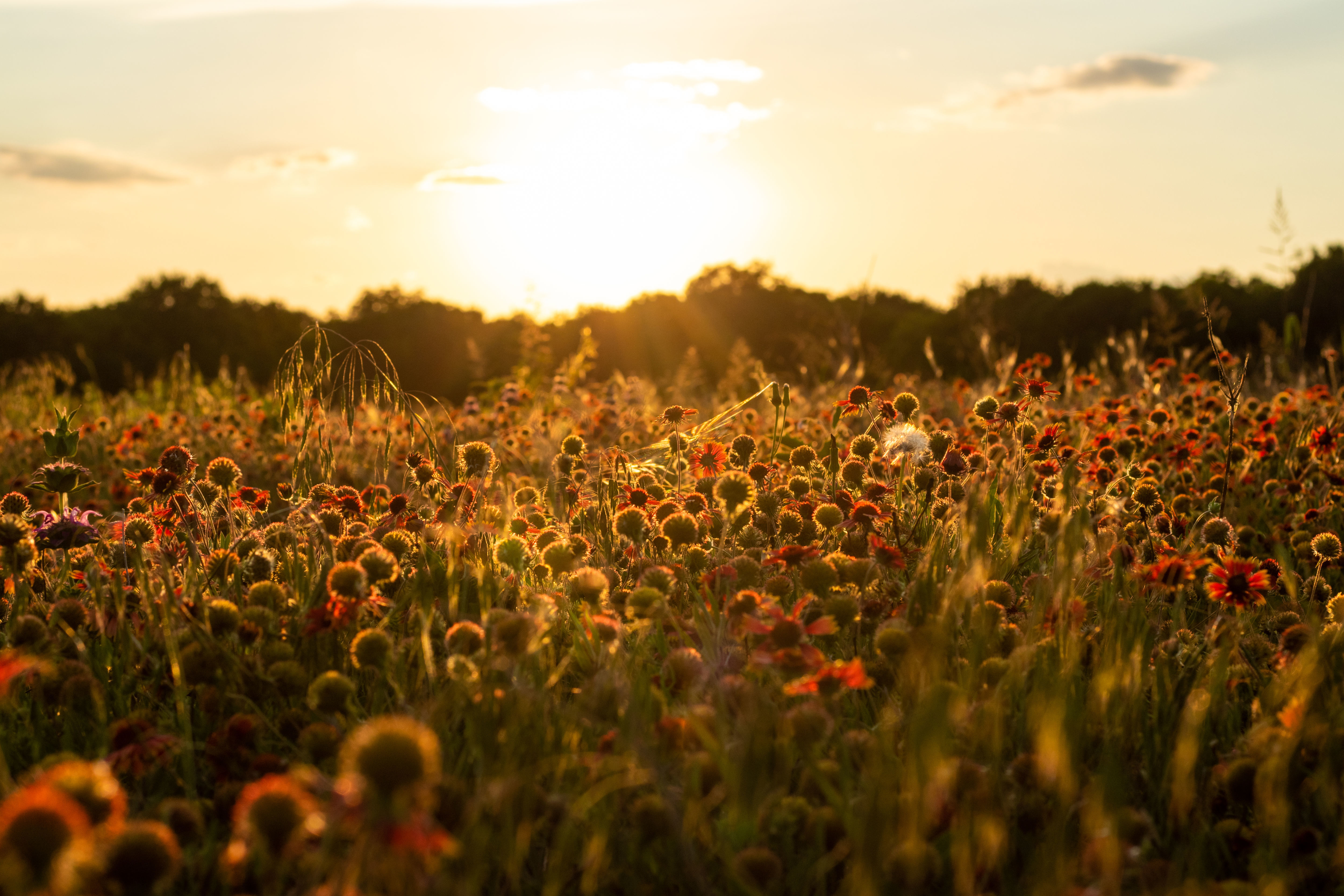 Things to Do in Stephenville | Tour Texas