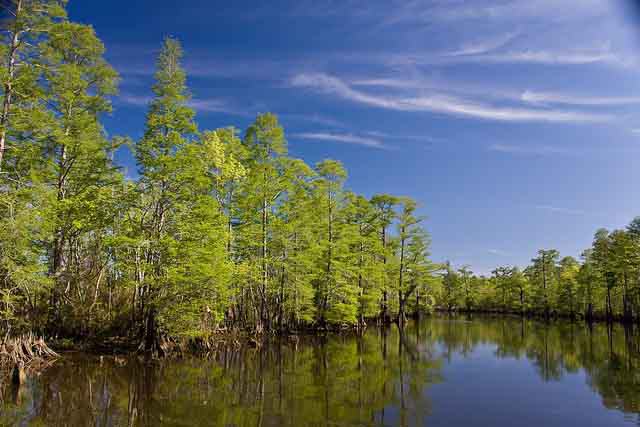 7 Reasons to Enjoy the Best of Southeast Texas in Beaumont | Tour Texas