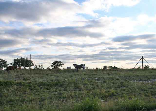 Boerne | Tour Texas