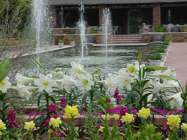 Clark Gardens Botanical Park Hours & Admission Prices | Tour Texas