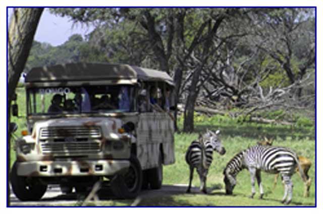 Fossil Rim Wildlife Center in Glen Rose | Tour Texas
