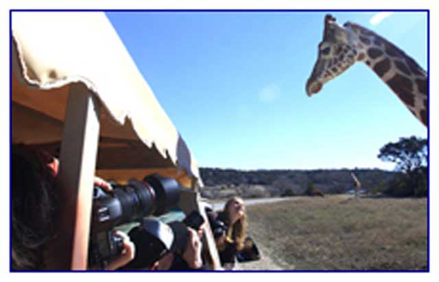 Fossil Rim Wildlife Center in Glen Rose | Tour Texas