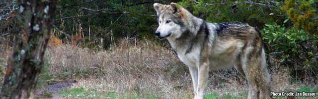 Fossil Rim Wildlife Center Hours and Ticket Prices | Tour Texas