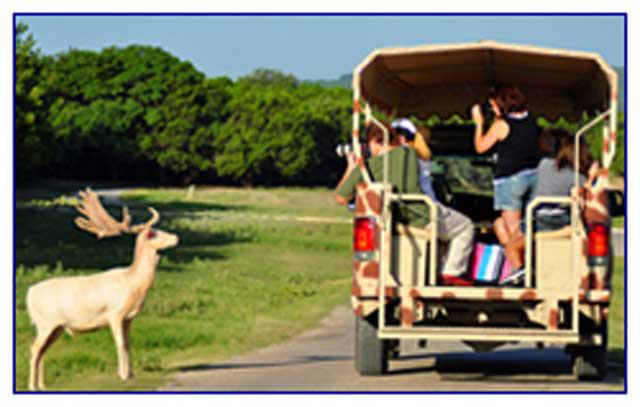 Fossil Rim Wildlife Center in Glen Rose | Tour Texas