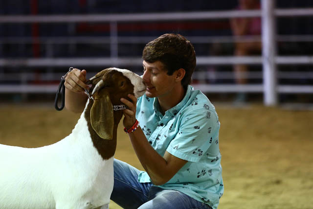 North Texas Fair & Rodeo Hours and Ticket Prices | Tour Texas