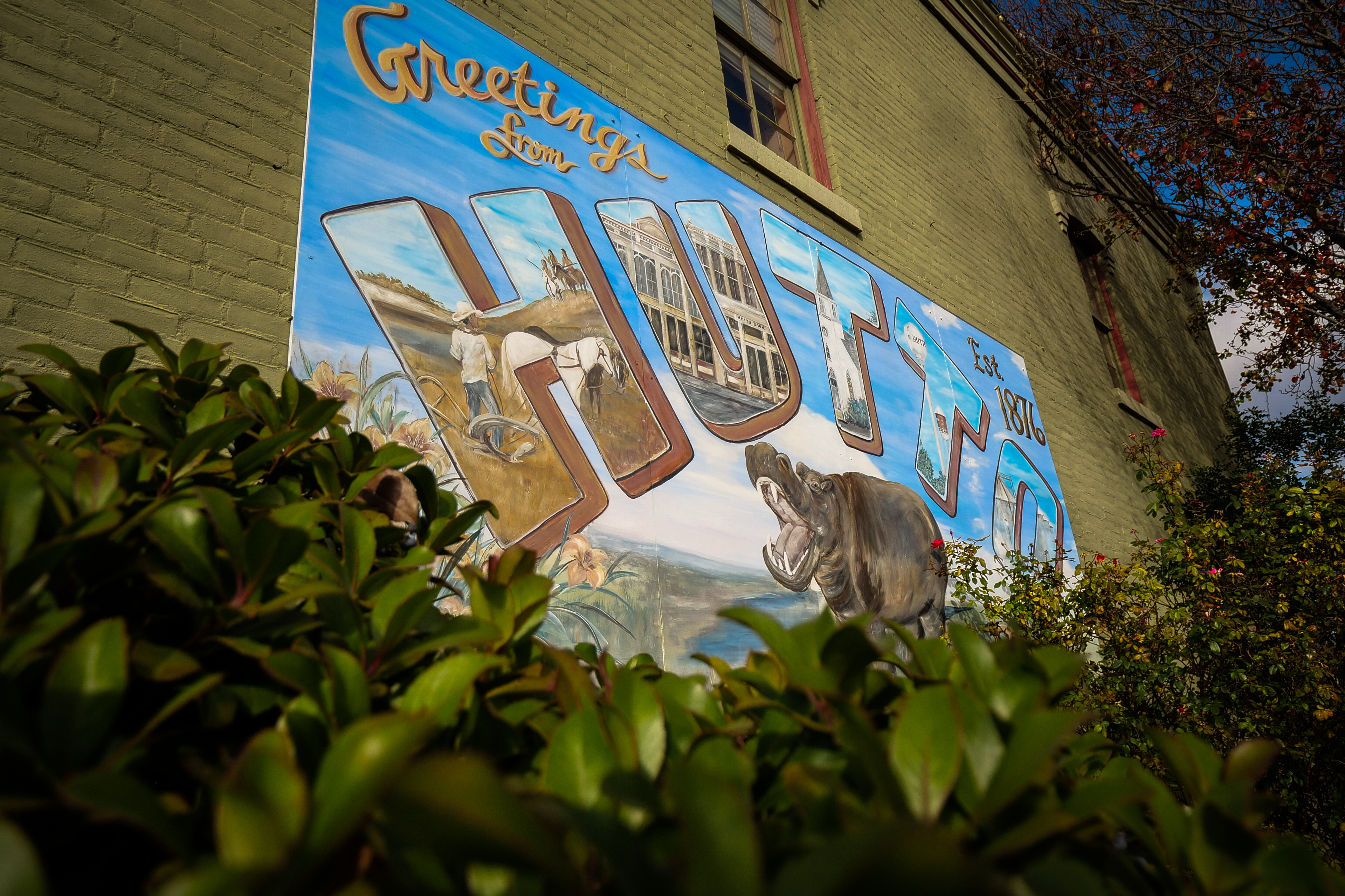 Things To Do in Hutto | Tour Texas