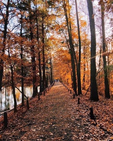 9 Top Rated Fun and Free Things to Do in Kilgore, TX | Tour Texas