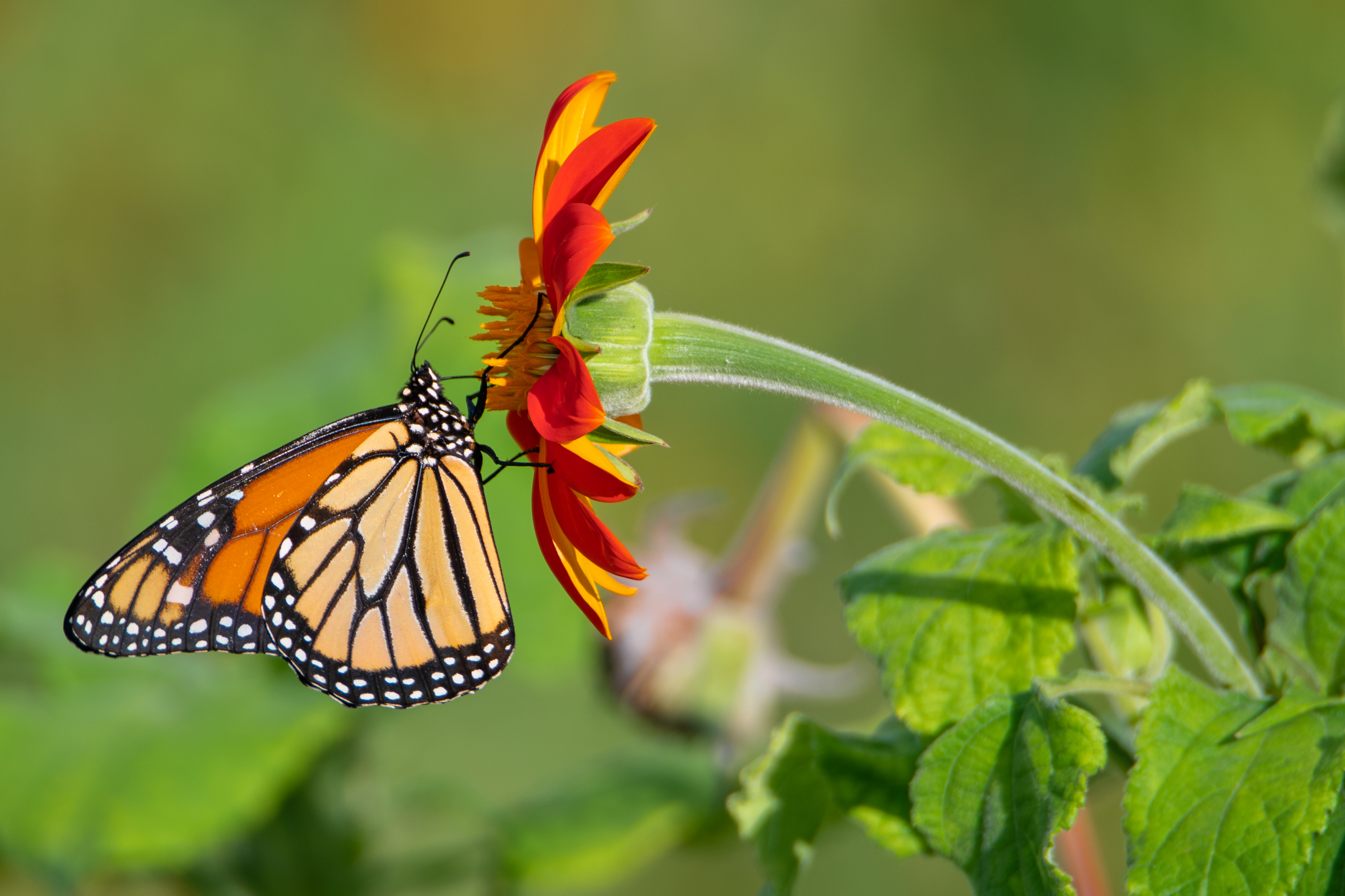 Things to Do in Pflugerville | Tour Texas