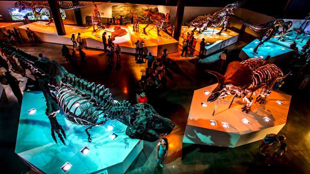 Events in Houston | Tour Texas