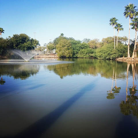 Things To Do in Harlingen | Tour Texas