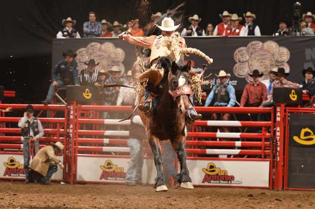 San Antonio Stock Show & Rodeo | Tour Texas