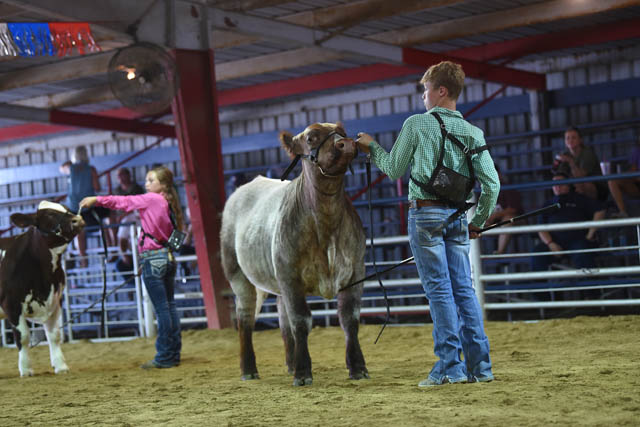 North Texas Fair & Rodeo - AUGUST | Tour Texas