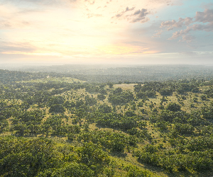 Things To Do in Bee Cave | Tour Texas