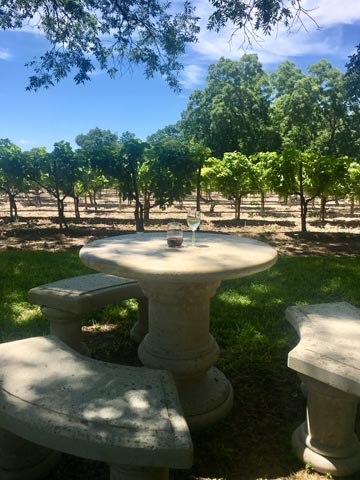 Del Rio | Tour Texas